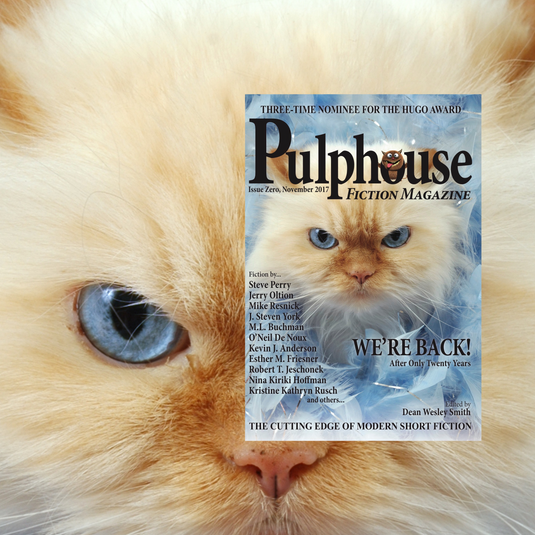 The MAGAZINE – Pulphouse Fiction Magazine